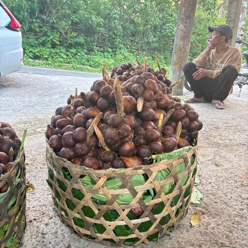 salak gula pasir manis renyah gula pasir - Shop | Tokopedia