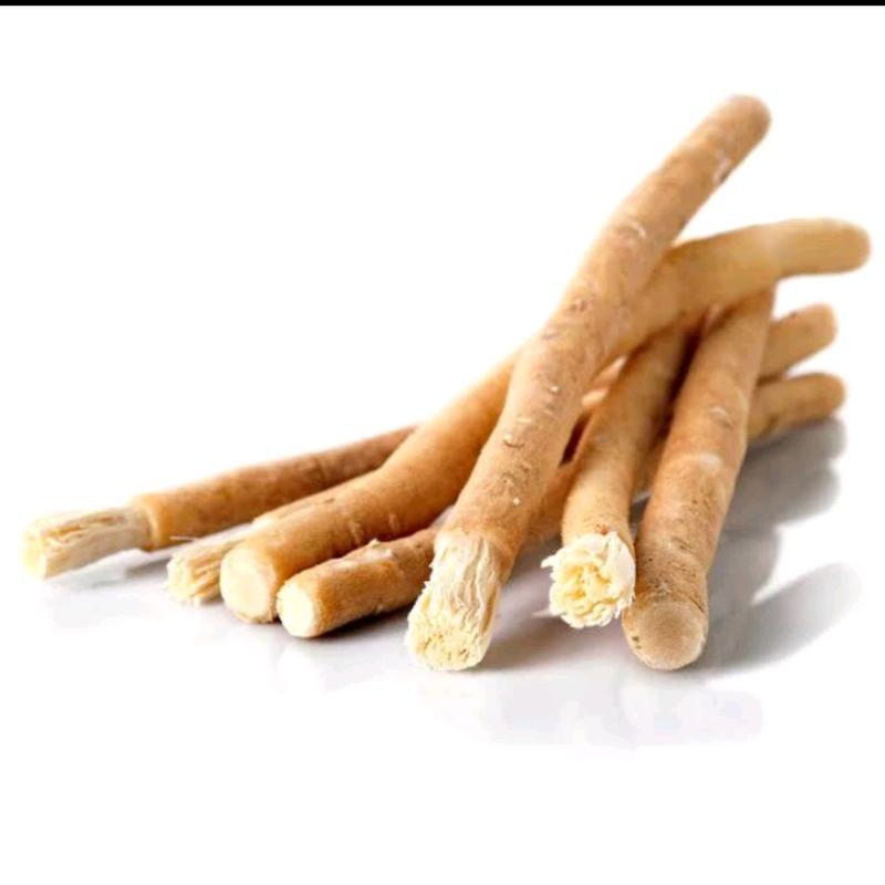 Premium Miswak Gigi peelu arak 8" Precise From PAKISTAN - TikTok Shop ...