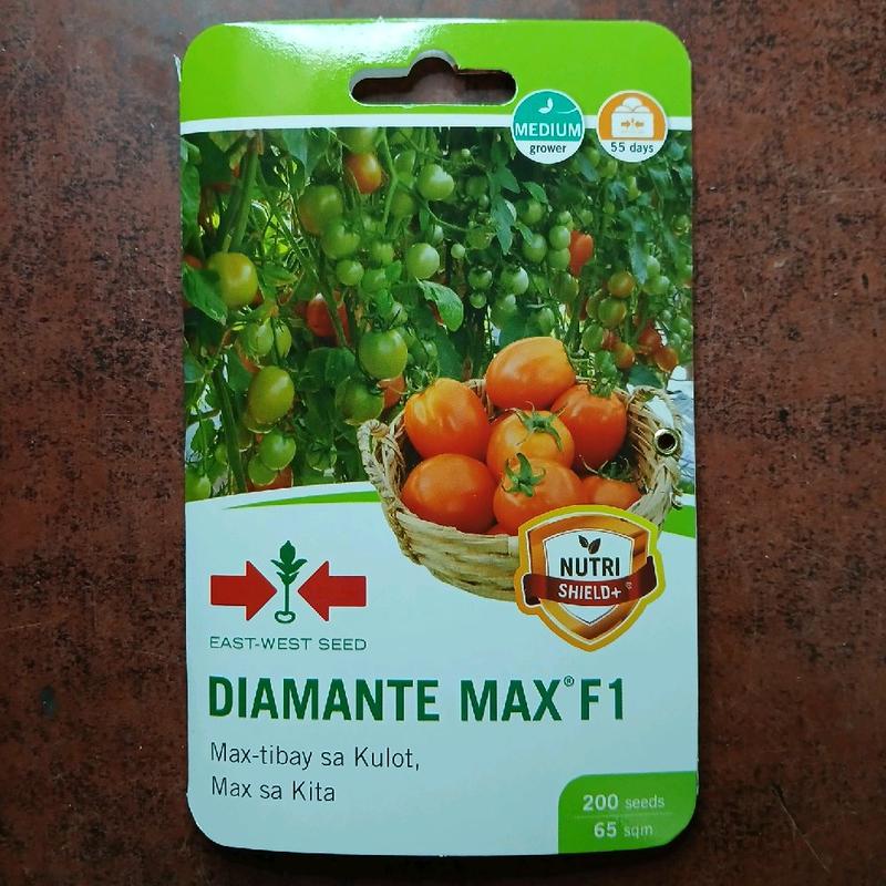 DIAMANTE MAX F1 (200 SEEDS) HYBRID TOMATO SEEDS / KAMATIS BY - TikTok Shop Philippines