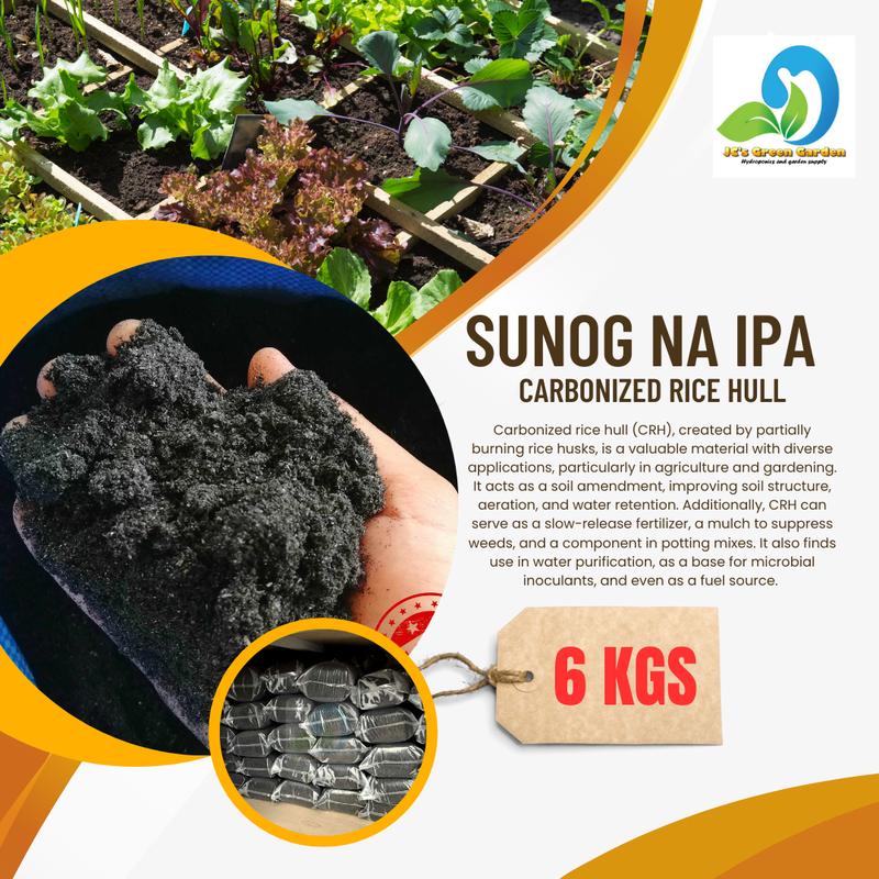 (6KILOS) Carbonized Rice Hull/High Quality (Sunog na Ipa)(Fine - TikTok ...