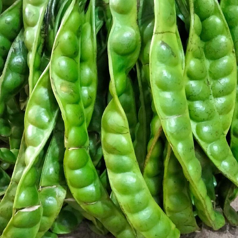 Pete Padi Muda Asli Wonogiri Food - Shop | Tokopedia