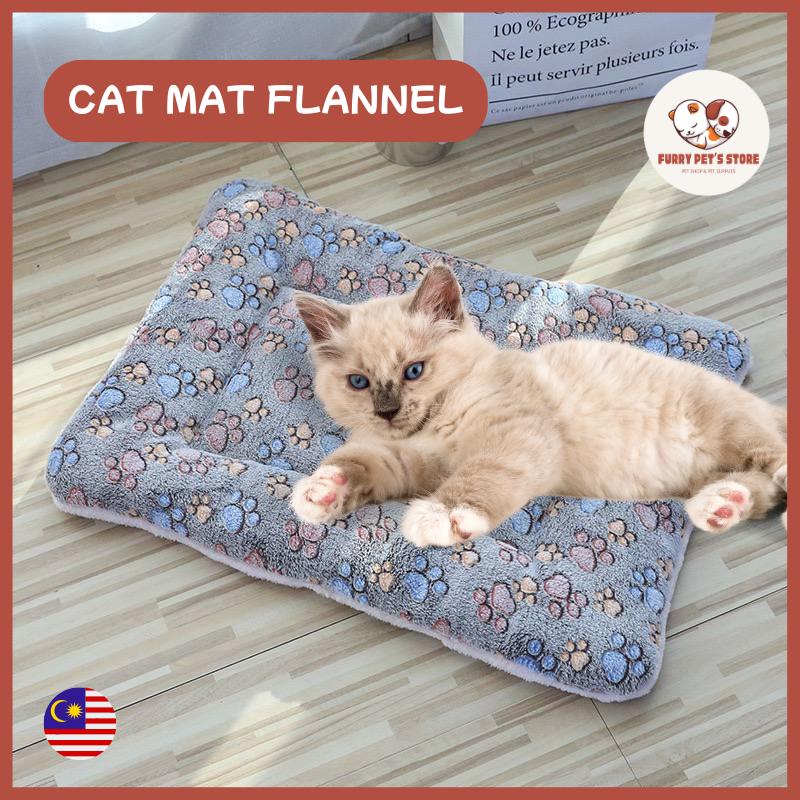 Anjing katil kucing katil anjing mat kucing mat binatang mat - TikTok ...