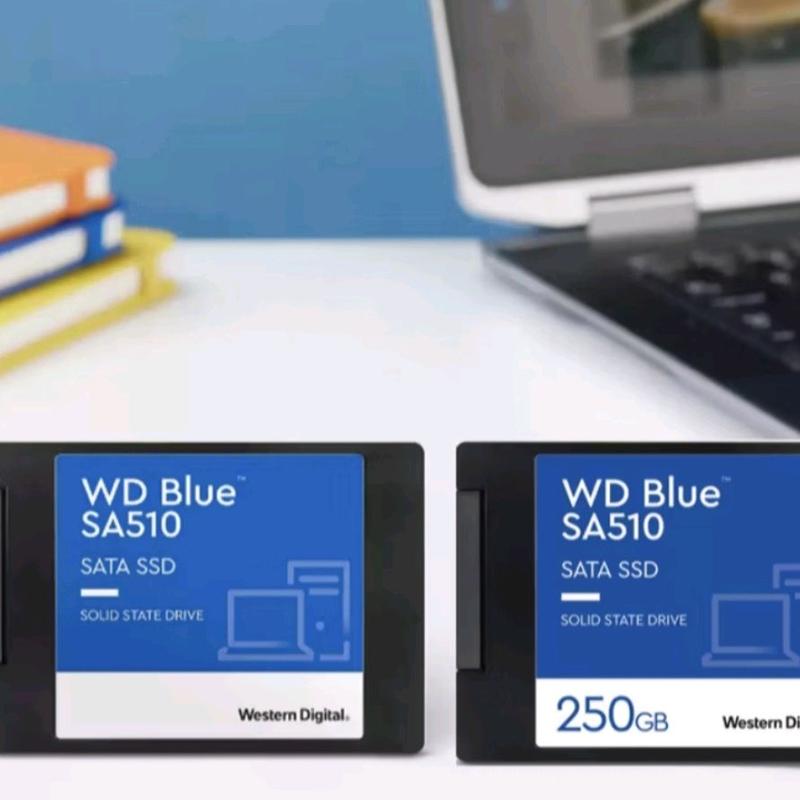 WD SSD BLUE SATA 32/64/128/256/512/1/2 GARANSI 3 TAHUN WDS500G1B0A ...