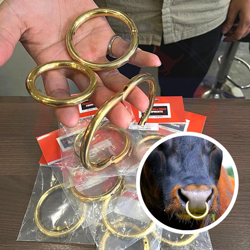 Bull nose ring | Gelang hidung lembu loyang | Brass bull rin - TikTok ...