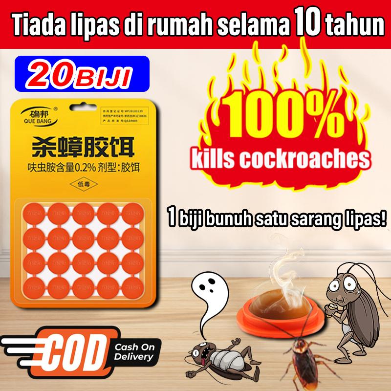 Cockroaches killer 20 Pcs/Box racun lipas paling berkesan Eco-Friendly ...