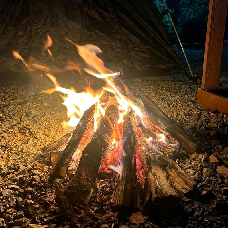 FIREWOODS / KAYU API (SAIZ PENDEK) Hutan - TikTok Shop Malaysia