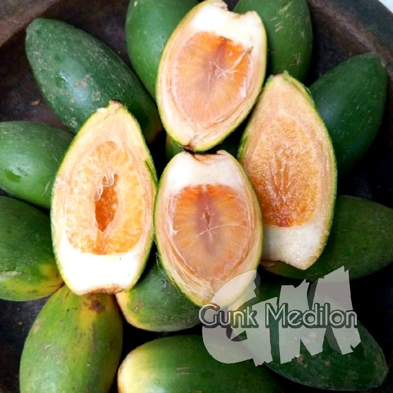 1 Kg Isi 25-40 Biji Buah Pinang Muda Segar | Makanan Frozen Zuriat ...