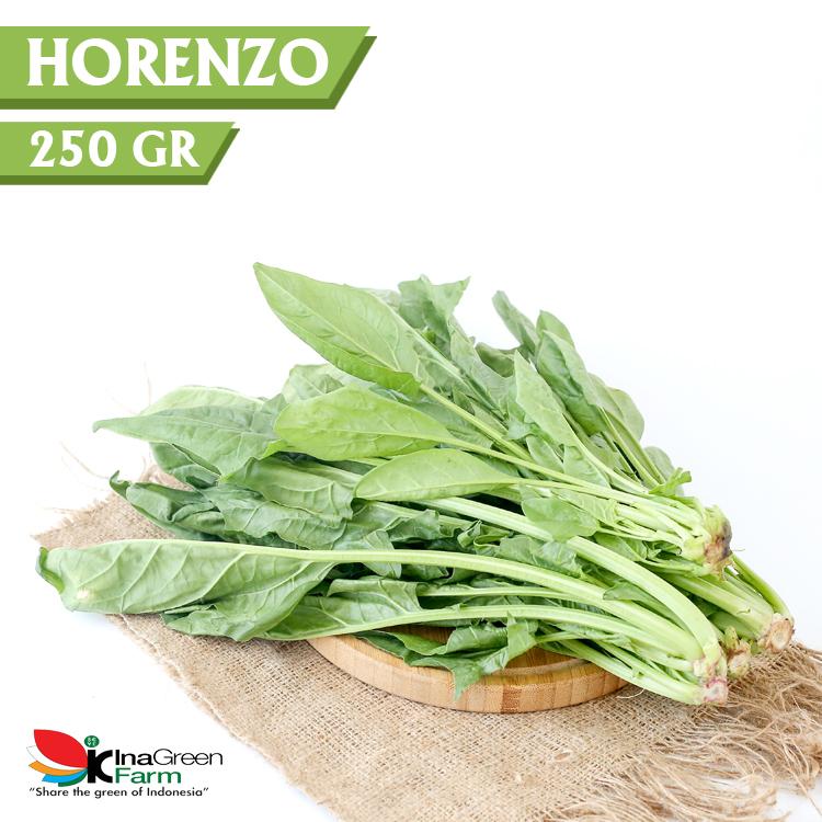 Sayur Horenzo / Bayam Jepang Organik Inagreen 250 Gram Bandung - Shop ...