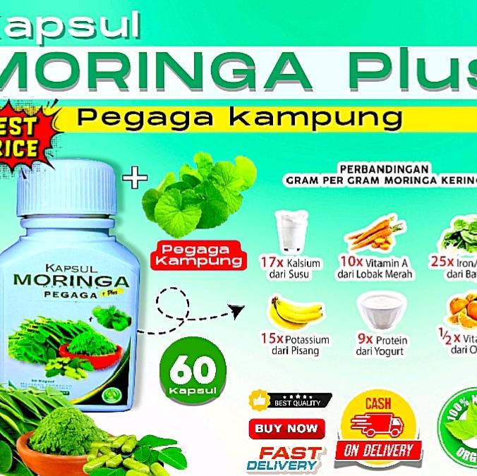MORINGA/KELOR + PEGAGA Viral Daun Moringa plus pegaga kampung - TikTok ...