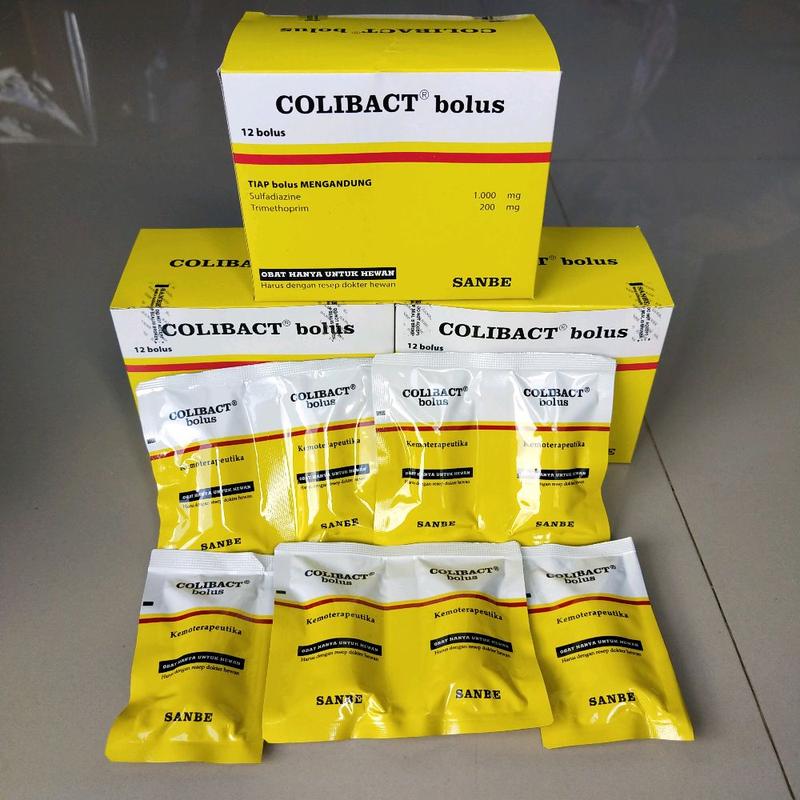 COLIBACT BOLUS 1 BOX isi 12 BOLUS OBAT DIARE MENCRET - INDUK BARU ...