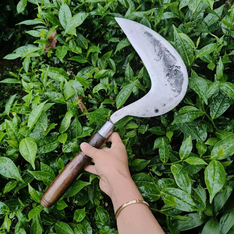 Sabit/Arit 88 Cikajang/alat petani rumput - Alat Pertanian - Shop ...