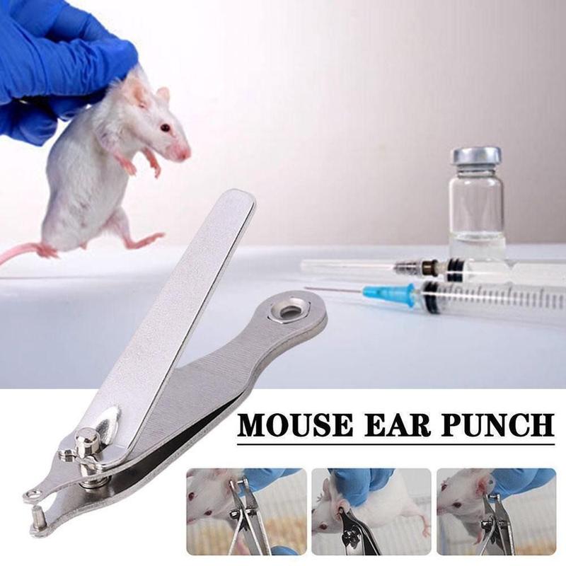 New Stainless steel Animal Experimental Ear Punch Safe Mouse - TikTok ...