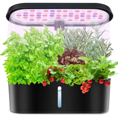 Kratky Hydroponic Systems For Beginners Kratky Method Of Hydroponics