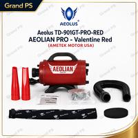 Jual Aeolus TD-901GT-PRO Pet Dryer 2200W Motor AMETEK USA Blower ...