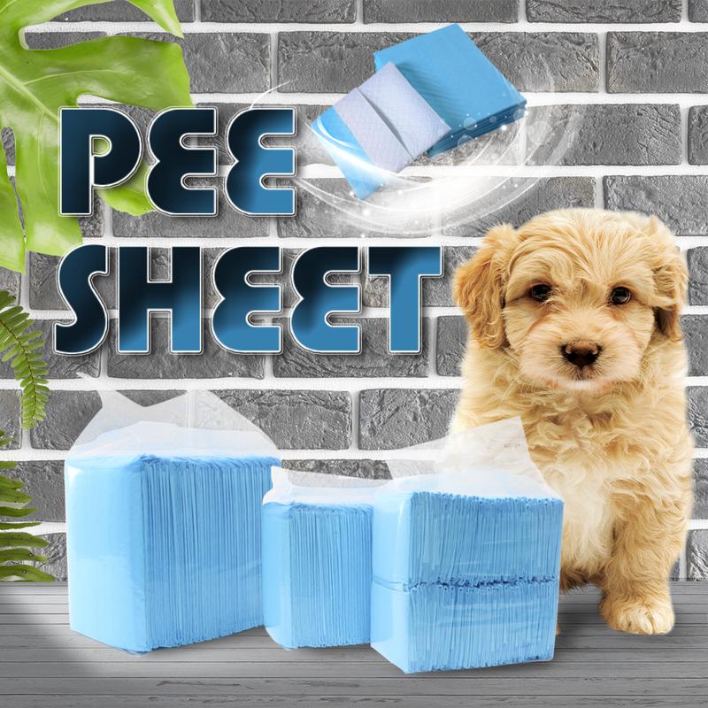 Pee Sheet, Pee Pad, Small 100pcs, Medium 50pcs, Large 25pcs( - TikTok ...