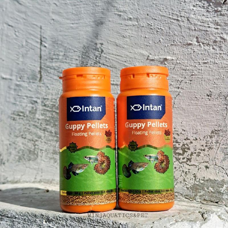 INTAN GUPPY PELLETS for guppy - TikTok Shop Malaysia