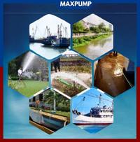 Promo MAXPUMP Pompa Celup 24Jam Otomatis Q550B261 220V 2 inch Anti ...