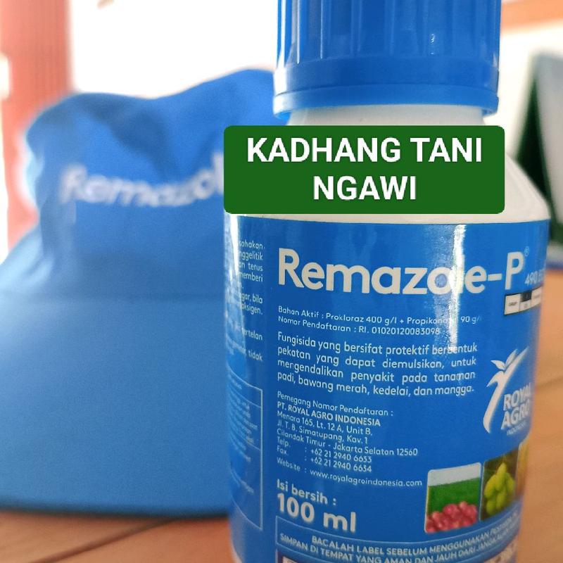 Remazol-P 490 EC 100m ASLI BERGARANSI Untuk Moler Bawang Merah - Shop ...