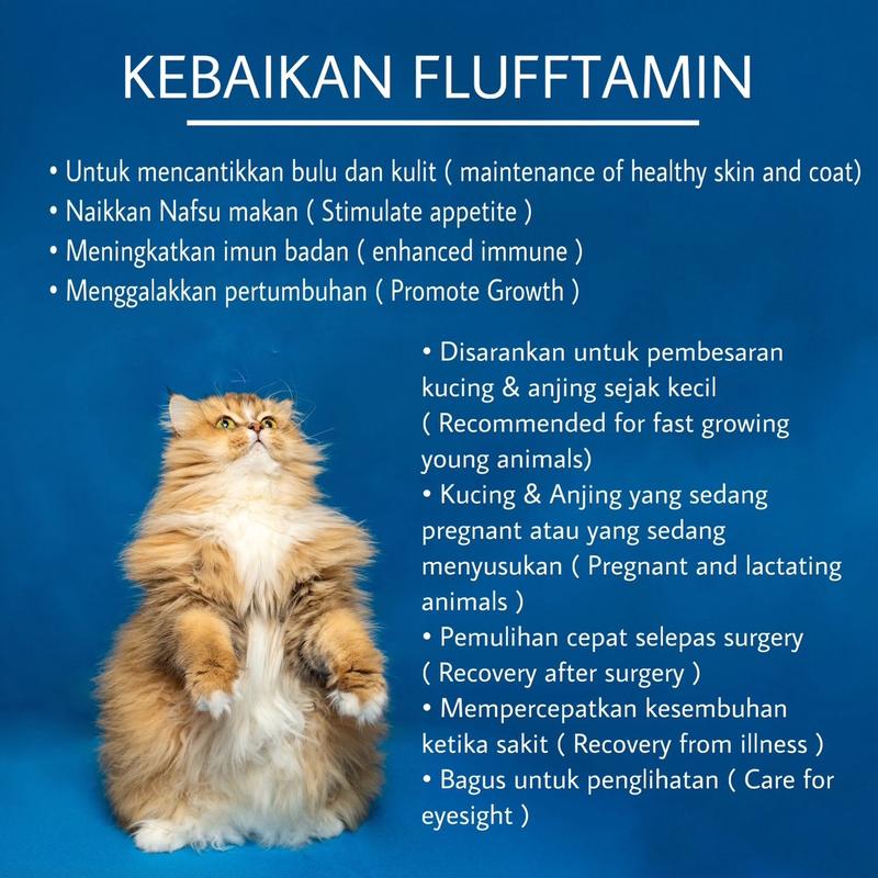 FLUFFTAMIN UNTUK GEMUKKAN, CANTIKKAN BULU KUCING DAN ANJING - TikTok ...