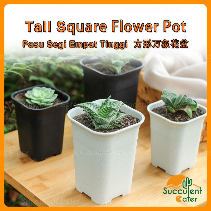 Pasu Bunga Segi Empat Tinggi Tebal Tall Square Thick Plastic - TikTok ...
