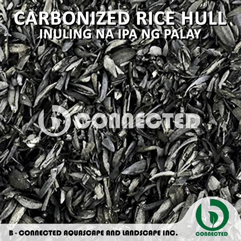 CARBONIZED RICE HULL BY BCONNECTED / INULING NA IPA NG PALAY - TikTok ...