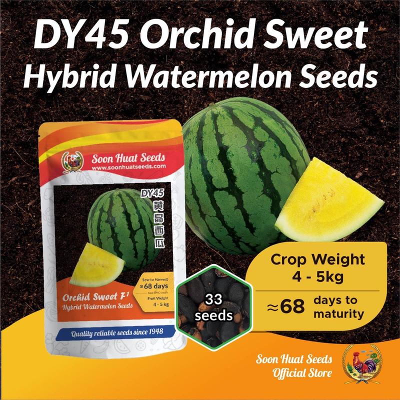 [1g/10g] DY45 Benih Tembikai Kuning Orchid Sweet Soon Huat Seeds ...