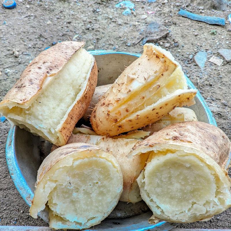 Gembili Super / Ubi gembili pulen Super fresh mentah 1kg - Shop | Tokopedia