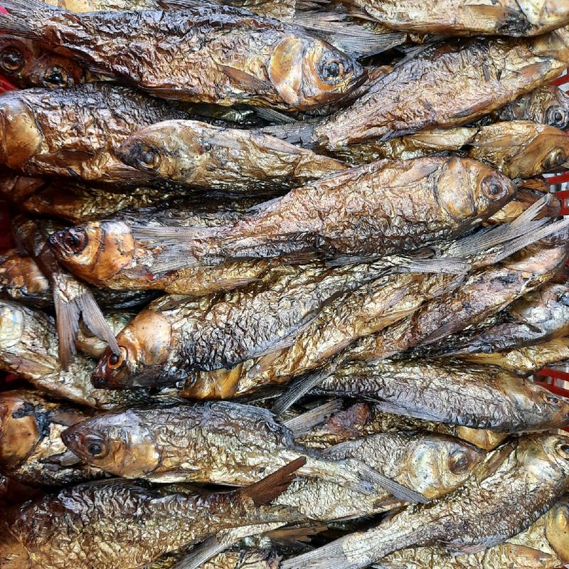 Ikan Salai Motan ,Patin dan Limbek(keli) asli Riau 200g/ 300g/500g/1kg ...