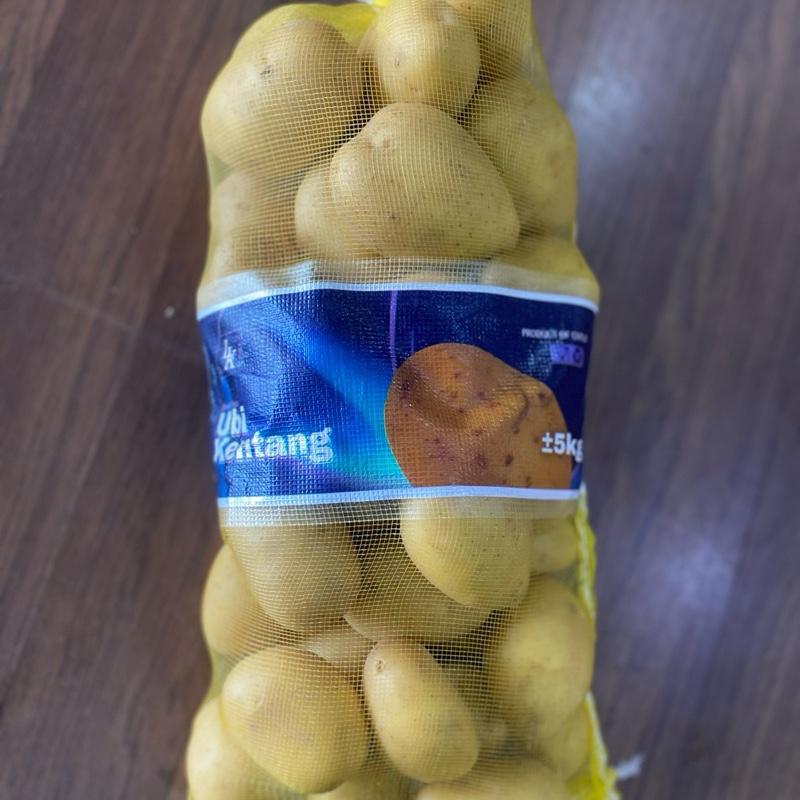 Ubi Kentang Segar 5kg - Murah - Makanan Segar - Frozen, Fresh, - TikTok ...