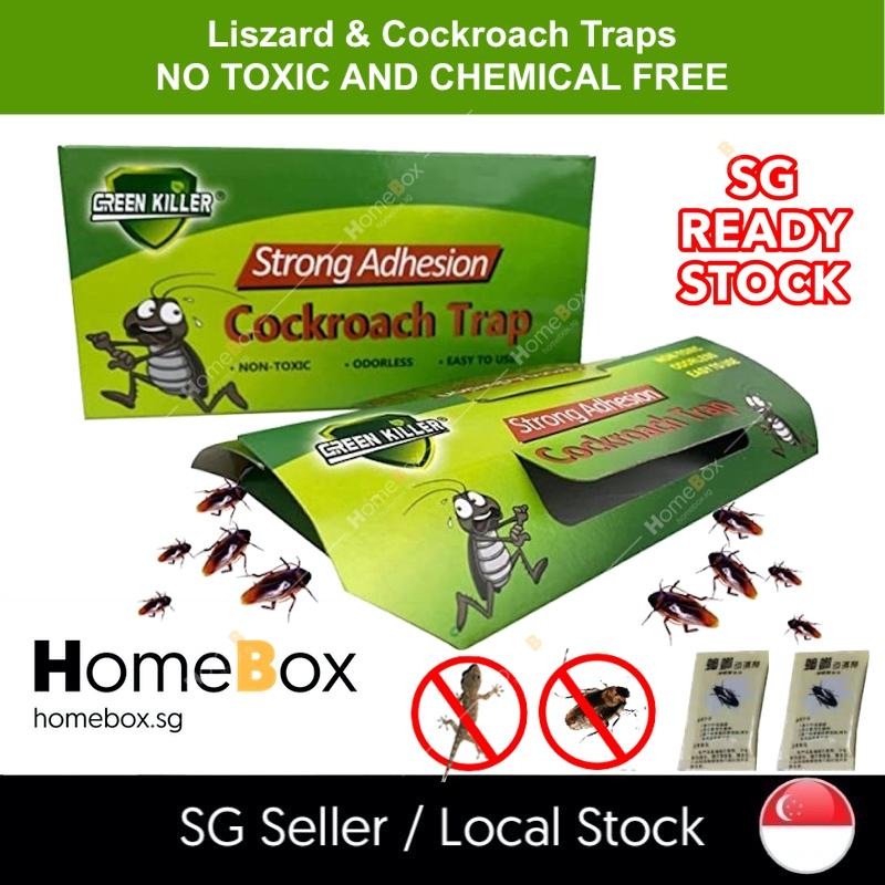 HomeBox 10PCS Cockroach Trap Lizard Trap Sticker Glue Sticky - TikTok ...
