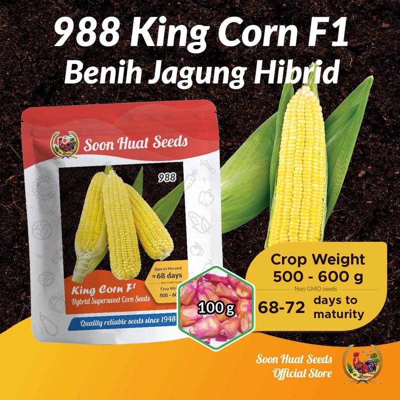 [100g] 988 Benih Jagung Manis King Soon Huat Seeds - TikTok Shop Malaysia