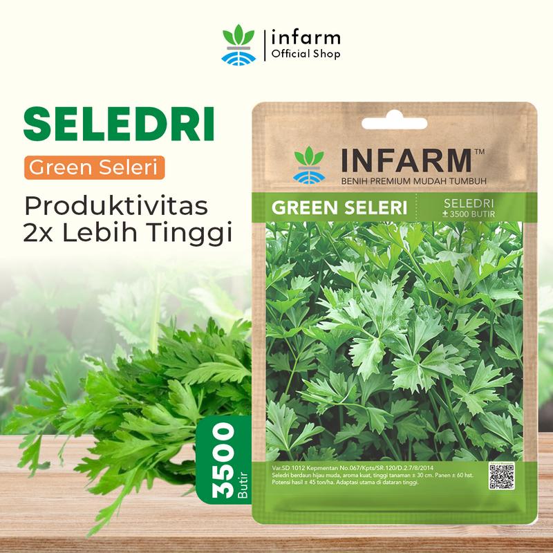 Benih Seledri Green Seleri Infarm - Bibit Daun Seledri Benih - Shop | Tokopedia