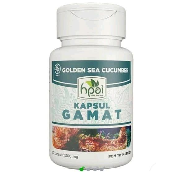 gamat kapsul hni hpai teripang emas golden sea cucumber - Shop | Tokopedia