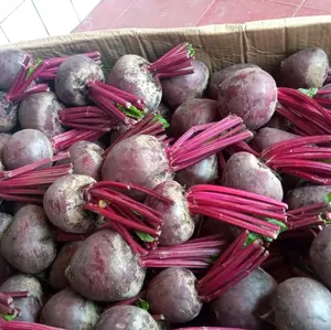 buah bit segar 1 kg untuk penambah darah - Shop | Tokopedia