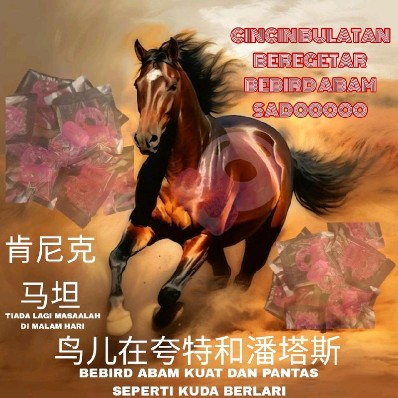 TORA TORA SAROONGG SILIKON BULATANN BEREGETAR BEBIRD ABAM MAINAN ...