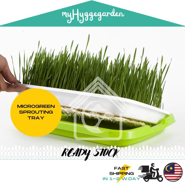 MYHYGGEGARDEN Microgreen Tray Sprout Plate Plastic Seedling Nursery ...