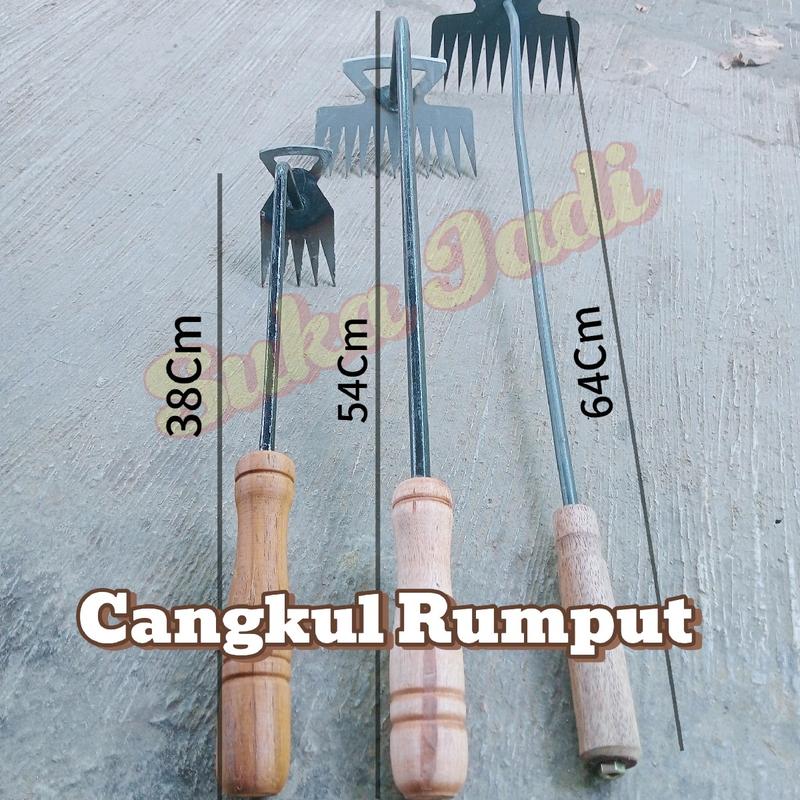 Cangkul garuk rumput / cangkul pencabut rumput bahan baja - Shop ...