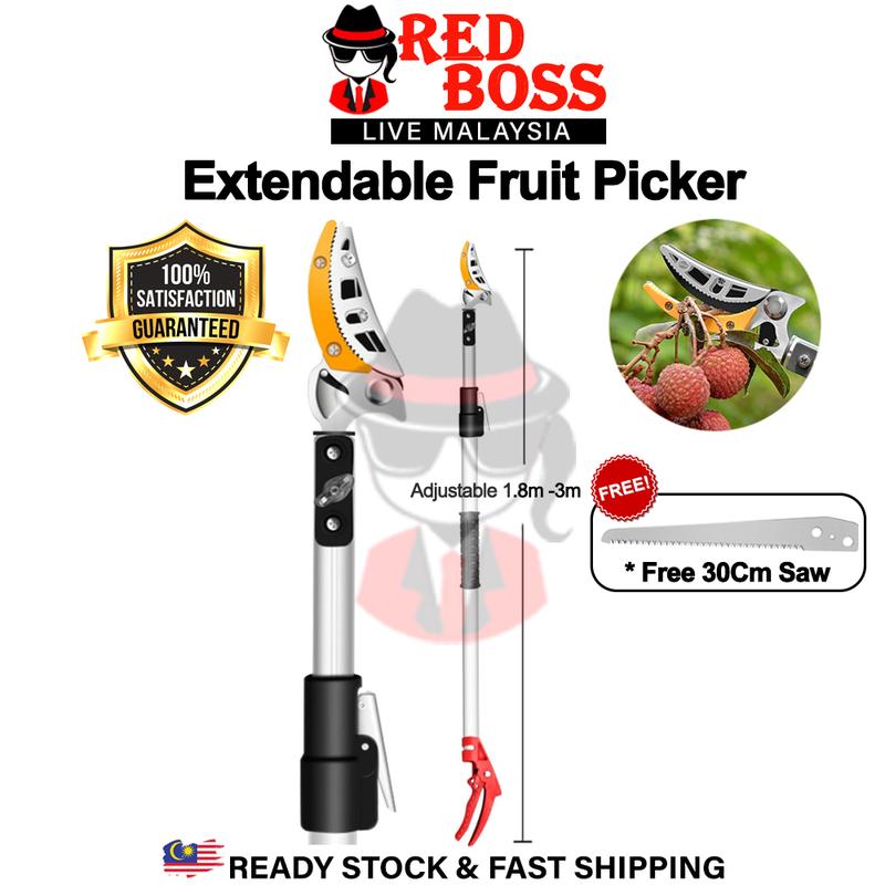 RED BOSS [COD] Fruit Picker 1.8-3 Meters Extendable Fruit Scissors ...