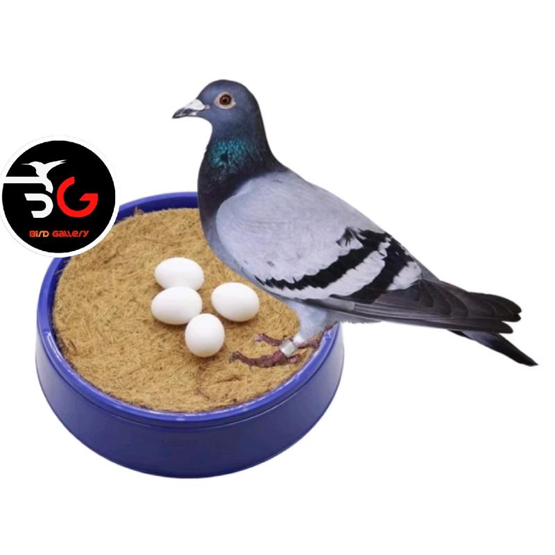 TELOR MERPATI PALSU TELUR IMITASI - Shop | Tokopedia