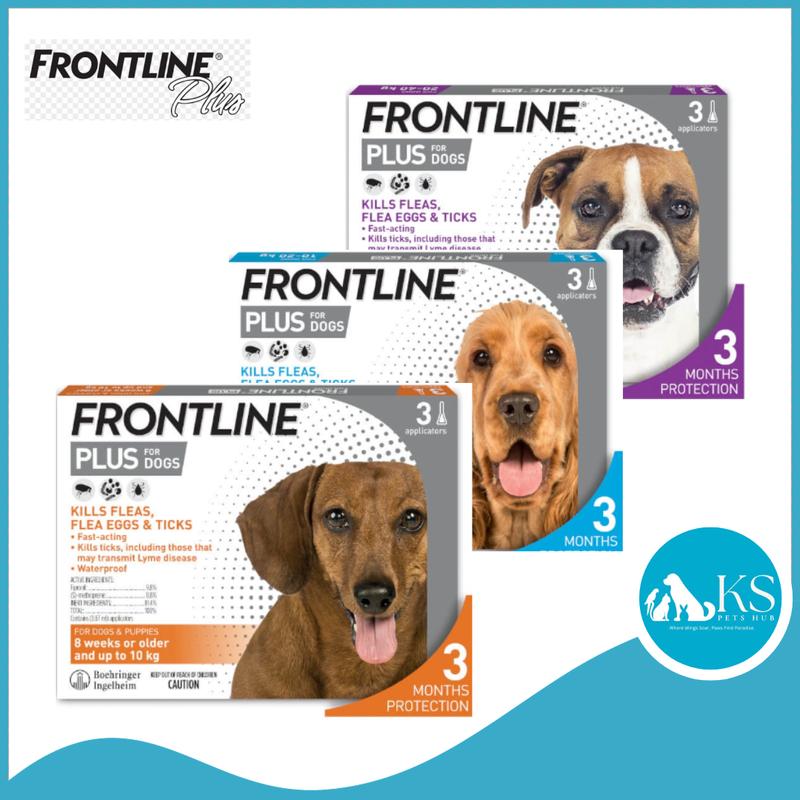 Frontline Plus Spot-On Flea & Ticks Prevention 3s / 6s Applicator ...