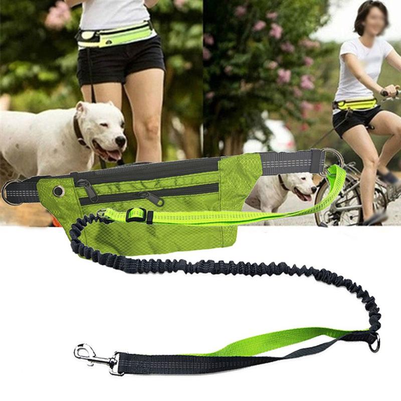 Set Reflective For Dog Cat Night Safety Pocket Training Wais - TikTok Shop Singapore