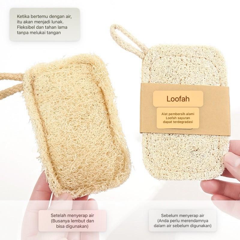 Sabut Cuci Piring Spons Loofah Sponge Oyong Gambas - Shop | Tokopedia
