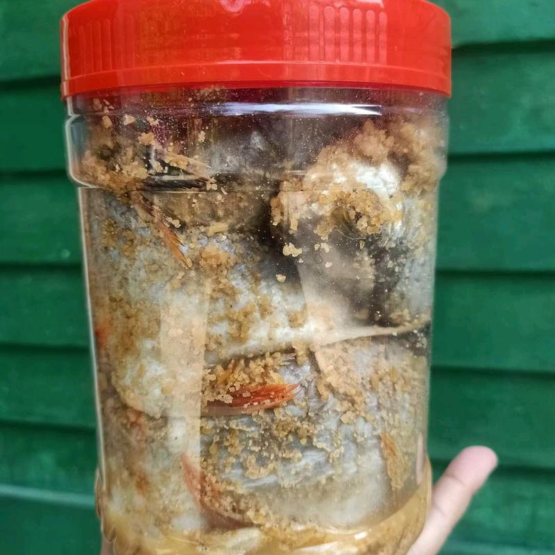 IKAN PERKASAM LAPAN JAWA(BERAS PULUT) - TikTok Shop Malaysia