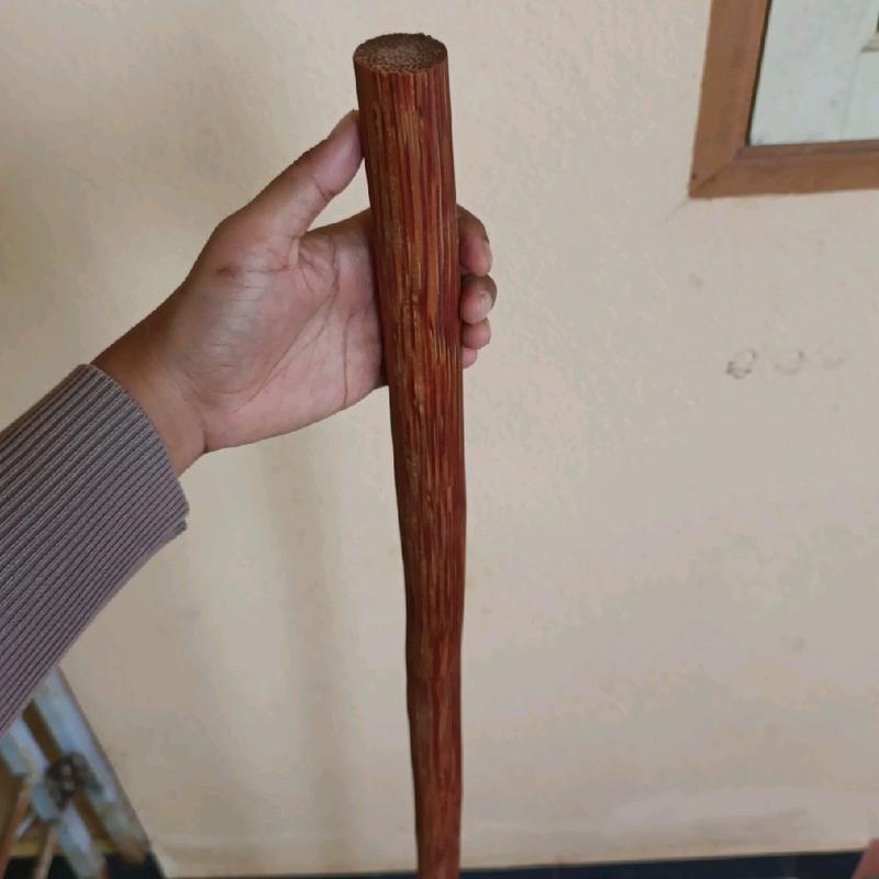 kayu ibor urat merah 4kki - TikTok Shop Malaysia