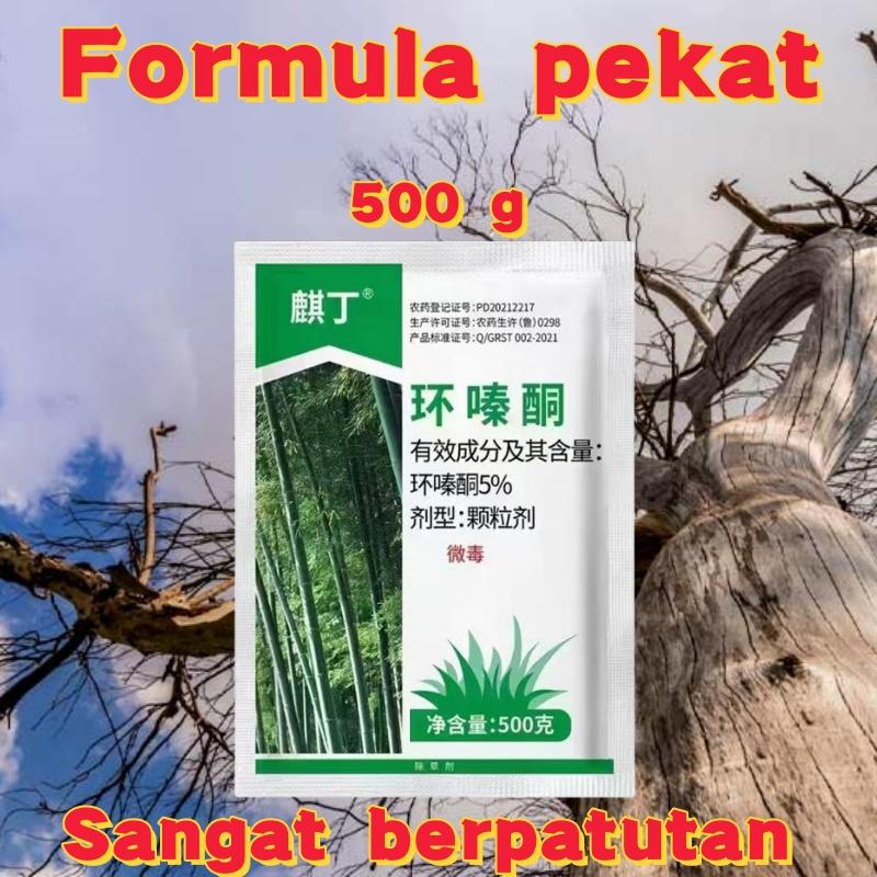 (Malay spot) alion arcun rumput parakuta Weeding, rotten tre - TikTok ...