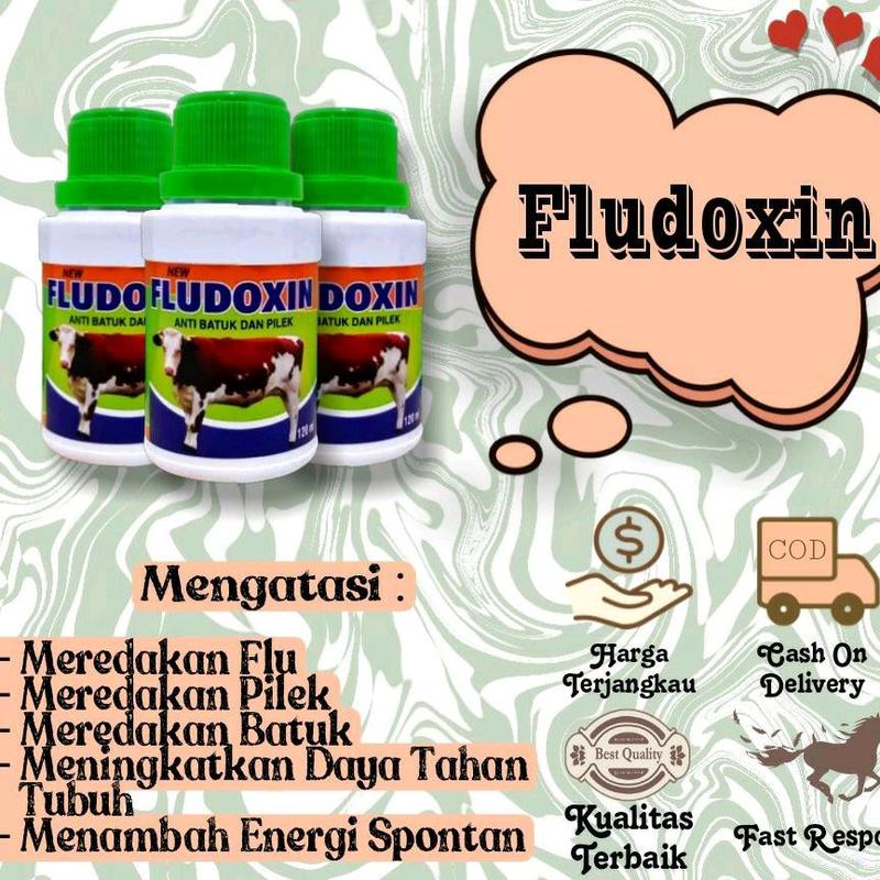 Fludoxin 120ml Obat Flu & Batuk Sapi, Kambing, Domba, Kuda - Obat ...
