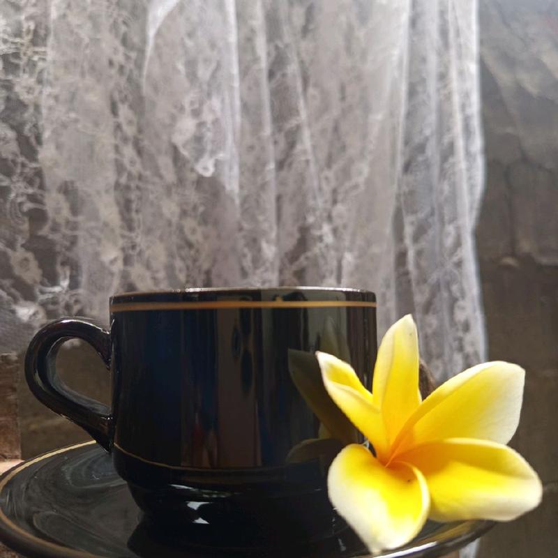 Cangkir Kopi /cangkir keramik/cangkir hotel/cangkir list emas - Shop ...