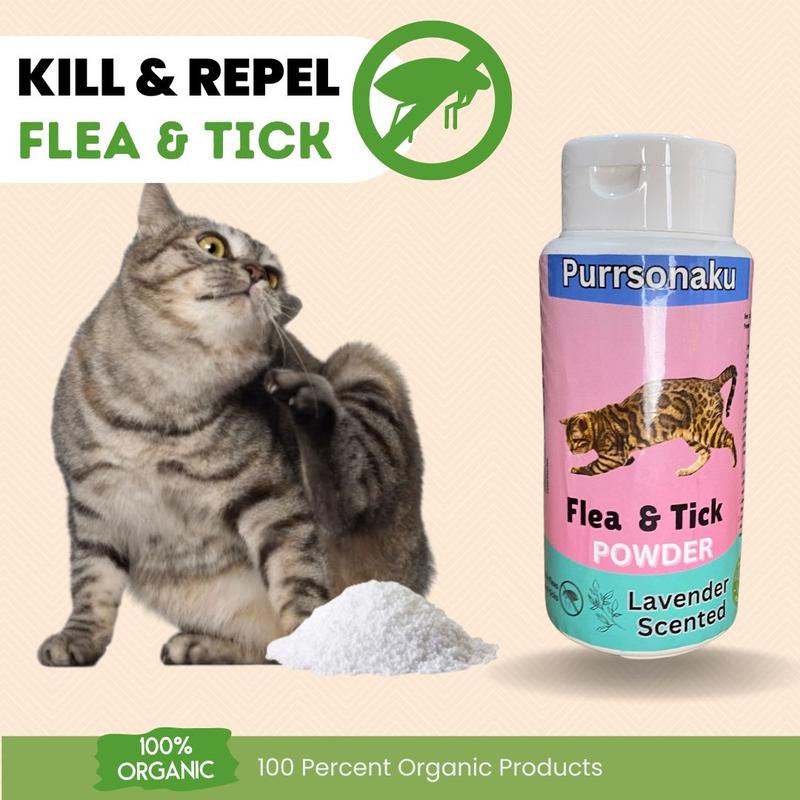 Purrsonaku Pet Flea & Tick Powder (80gm) Bedak untuk kutu da - TikTok ...