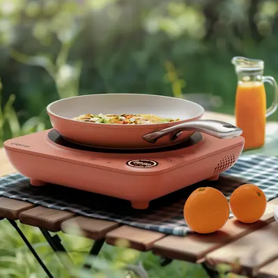 Ansons induction cooker store