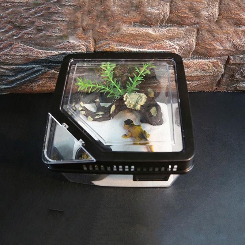 Durable Transparent Anti-escape Reptile Terrarium Tank Plastic - TikTok ...